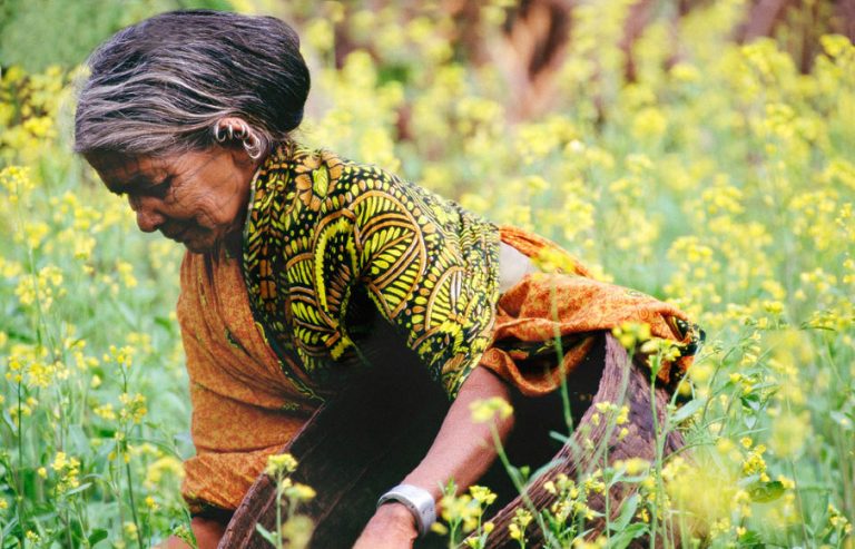 India Through the Eyes of Barbara Macklowe - J'AIPUR Journal