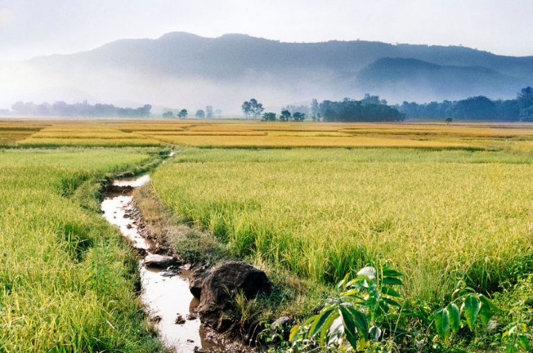 India Through the Eyes of Barbara Macklowe - J'AIPUR Journal